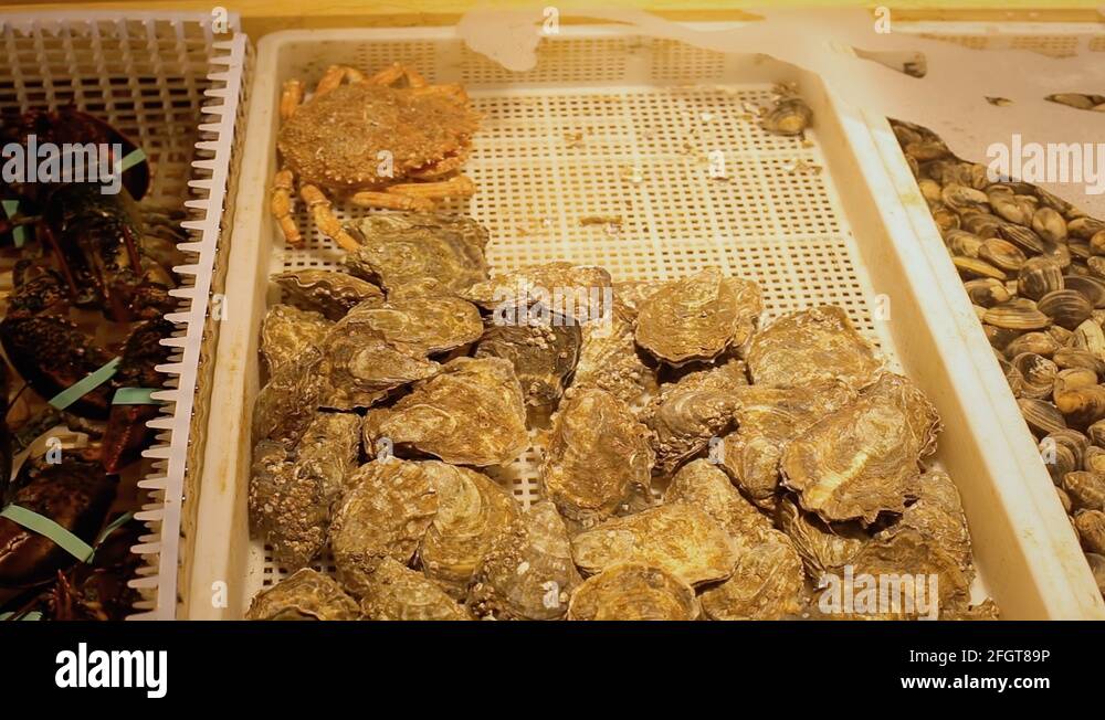 Shellfish lobster crab Stock Videos & Footage - HD and 4K Video Clips ...