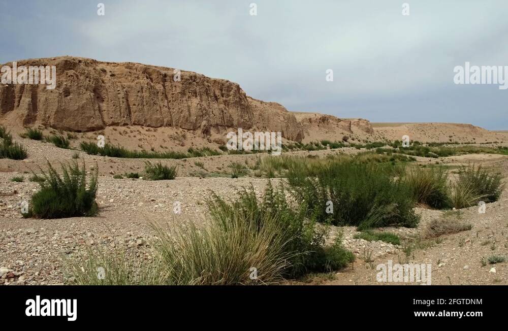 Arid grassland Stock Videos & Footage - HD and 4K Video Clips - Alamy