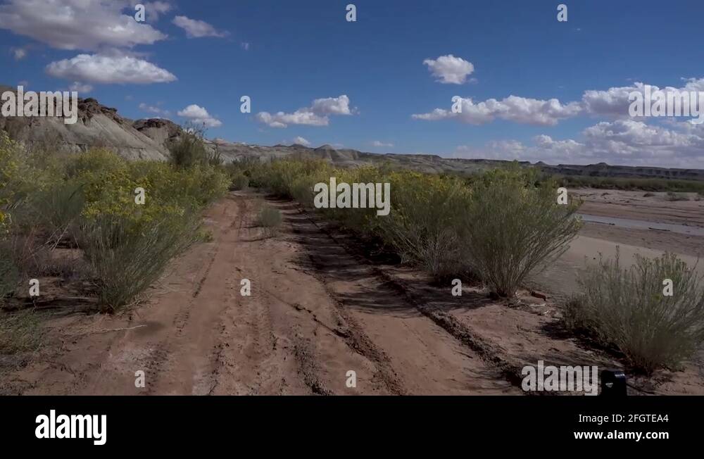 High brush Stock Videos & Footage - HD and 4K Video Clips - Alamy