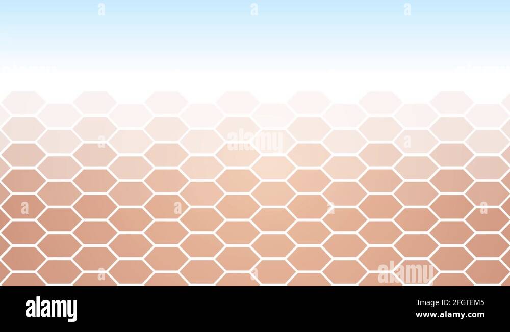 Skin care vector Stock Videos & Footage - HD and 4K Video Clips - Alamy