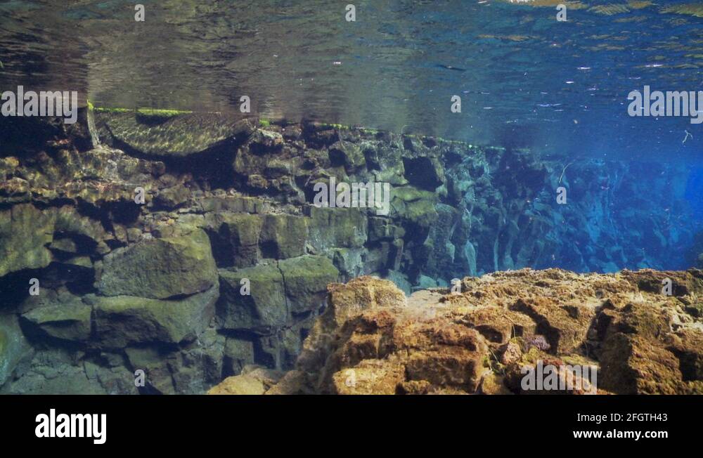 Deep trench underwater Stock Videos & Footage - HD and 4K Video Clips ...