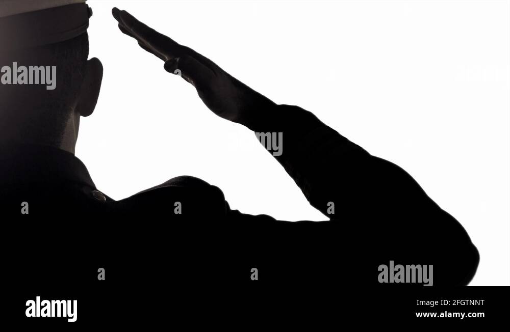 Policeman silhouette Stock Videos & Footage - HD and 4K Video Clips - Alamy