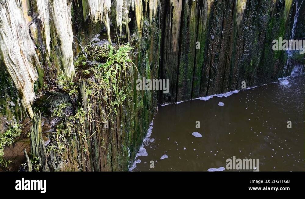 Rotten gate Stock Videos & Footage - HD and 4K Video Clips - Alamy