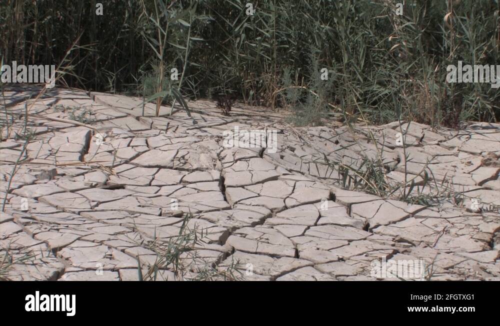 Jordan river drought Stock Videos & Footage - HD and 4K Video Clips - Alamy
