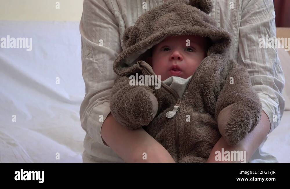 Teddy bear lap Stock Videos & Footage - HD and 4K Video Clips - Alamy