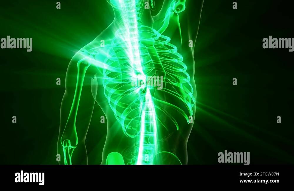 science anatomy of human body in x-ray with glow skeleton bones Stock ...