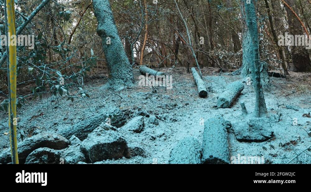 Tubbs fire Stock Videos & Footage - HD and 4K Video Clips - Alamy