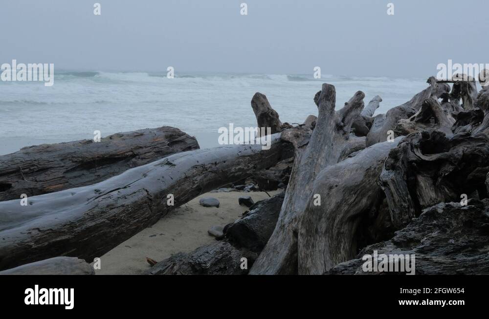 Miserable day at the beach Stock Videos & Footage - HD and 4K Video ...