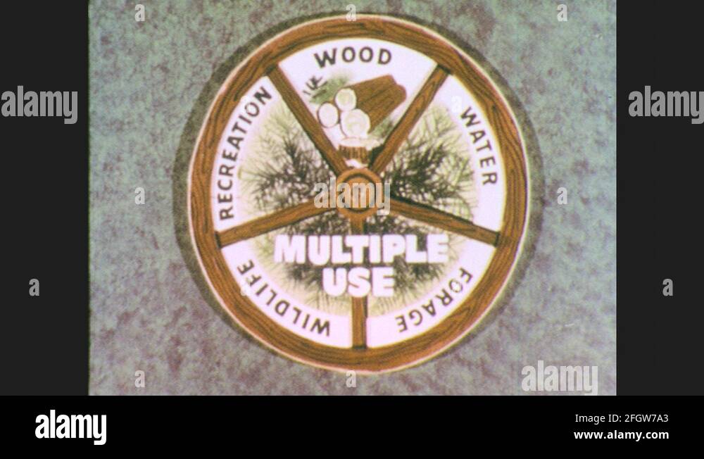 Forest forage Stock Videos & Footage - HD and 4K Video Clips - Alamy