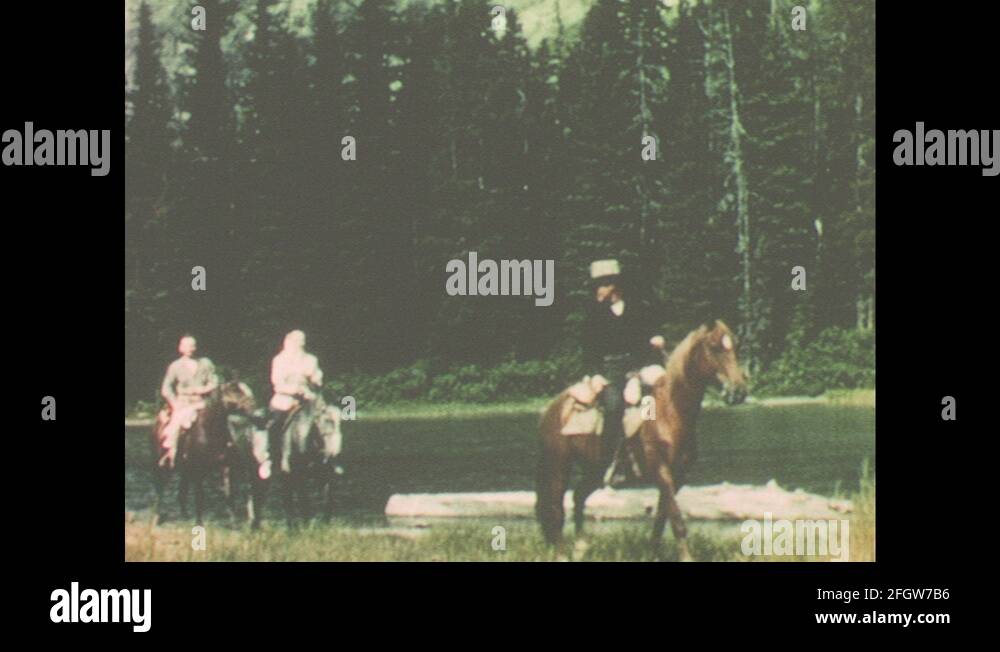 Riding moose Stock Videos & Footage - HD and 4K Video Clips - Alamy