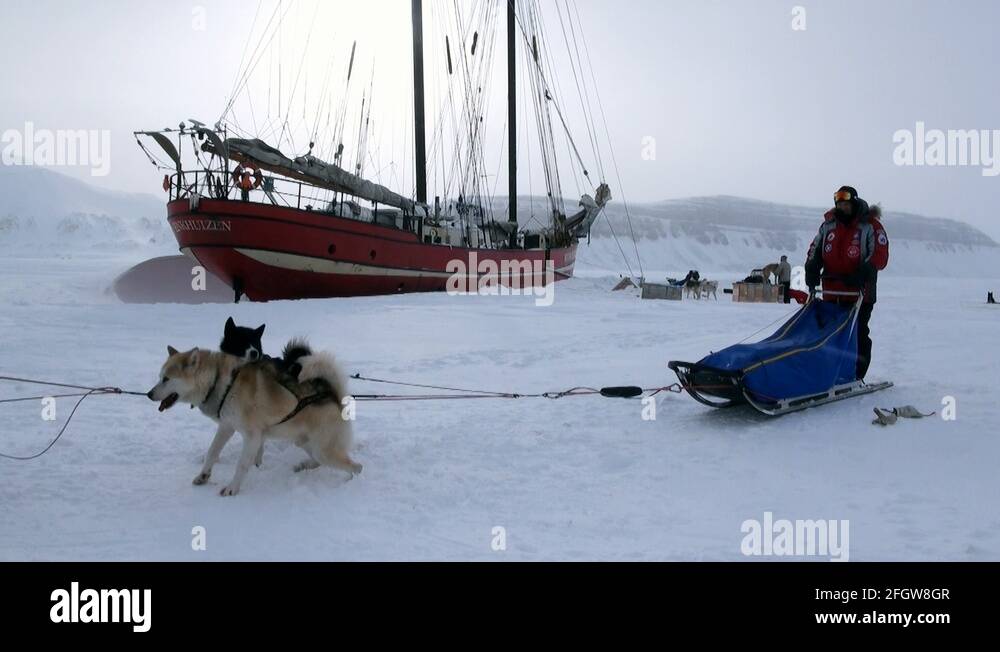 People expedition on dog sled team husky Eskimo road of North Pole in ...