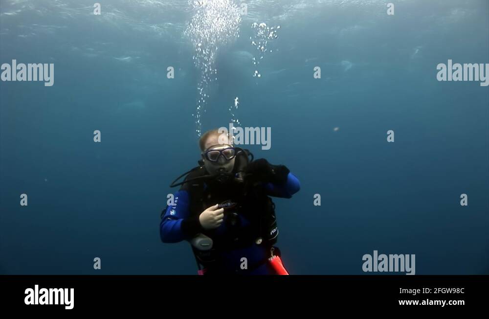 Seabed underwater deep Stock Videos & Footage - HD and 4K Video Clips ...