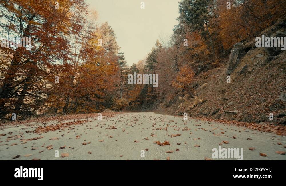 Low seasons Stock Videos & Footage - HD and 4K Video Clips - Alamy