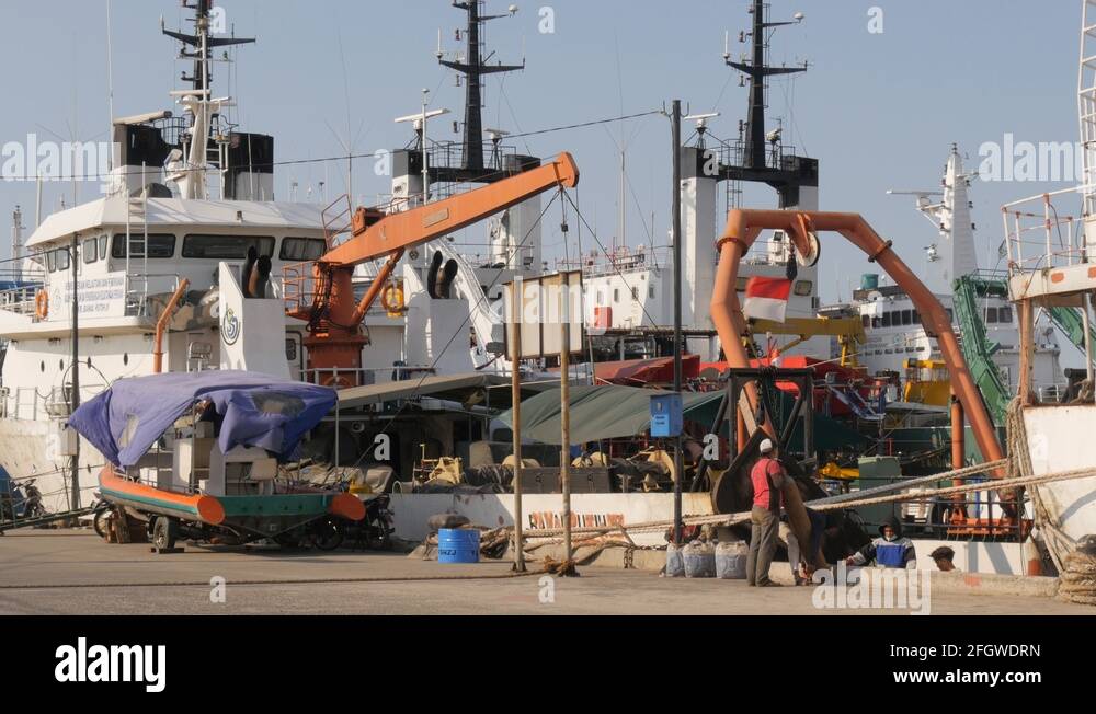 Indonesia loading Stock Videos & Footage - HD and 4K Video Clips - Alamy