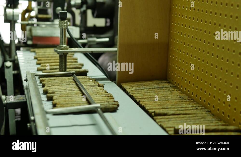 Enable logo Stock Videos & Footage - HD and 4K Video Clips - Alamy