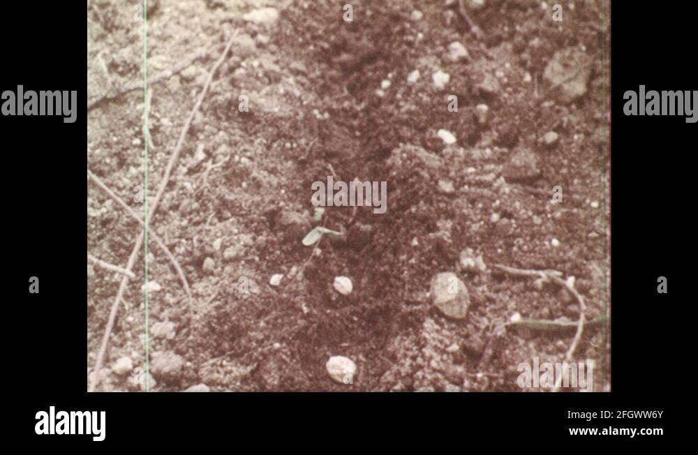 Row hand Stock Videos & Footage - HD and 4K Video Clips - Alamy