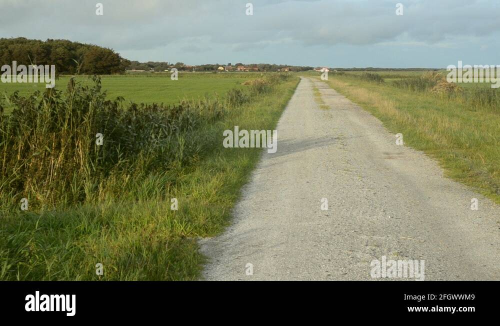Path walk conceptual Stock Videos & Footage - HD and 4K Video Clips - Alamy