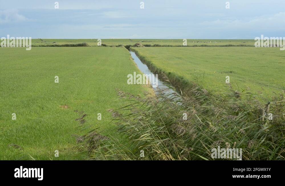 Farmland drainage channel Stock Videos & Footage - HD and 4K Video ...