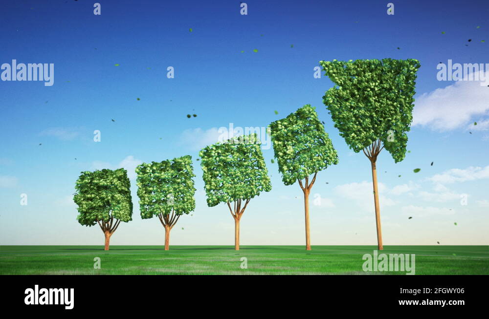 The up arrow tree Stock Videos & Footage - HD and 4K Video Clips - Alamy