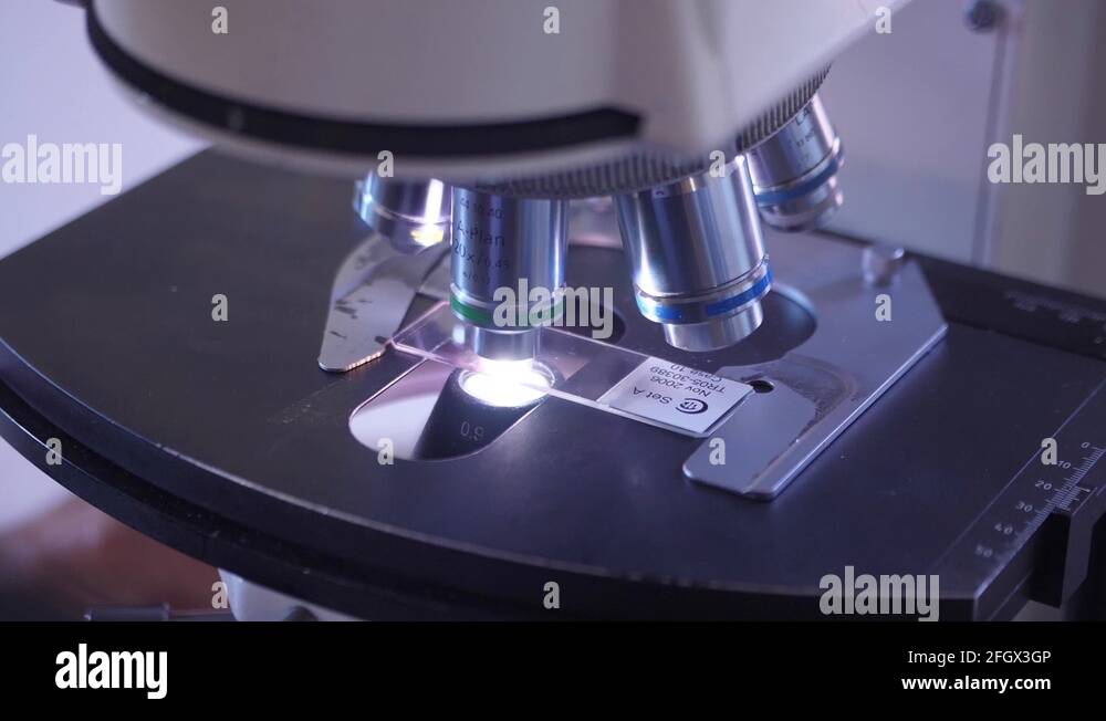 sample in glass slide undergoes microscopic testing in lab slow motion ...