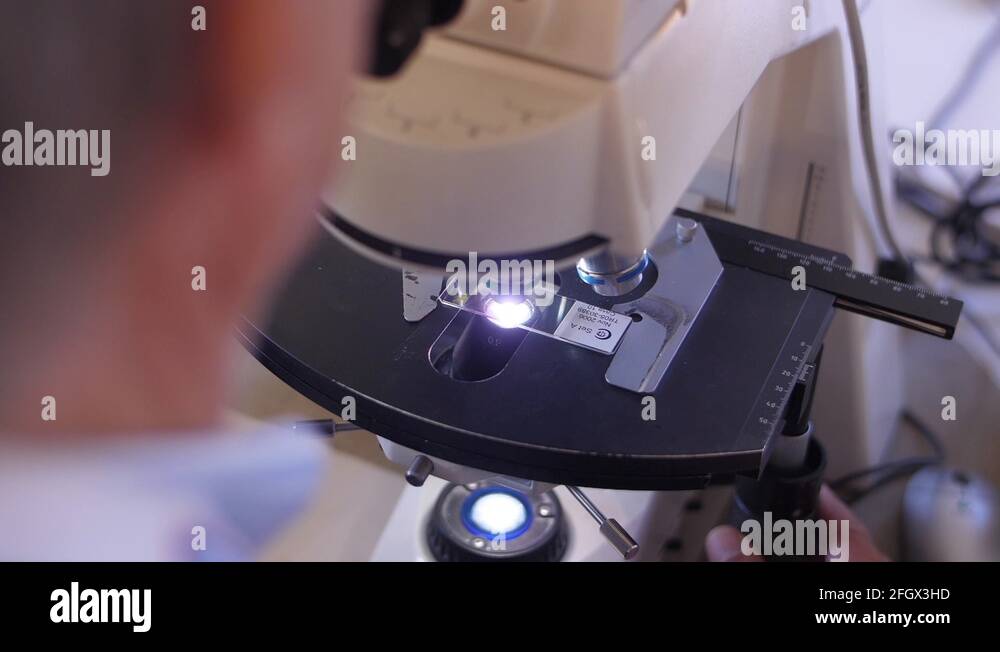 sample in glass slide undergoes microscopic testing in lab Stock Video ...