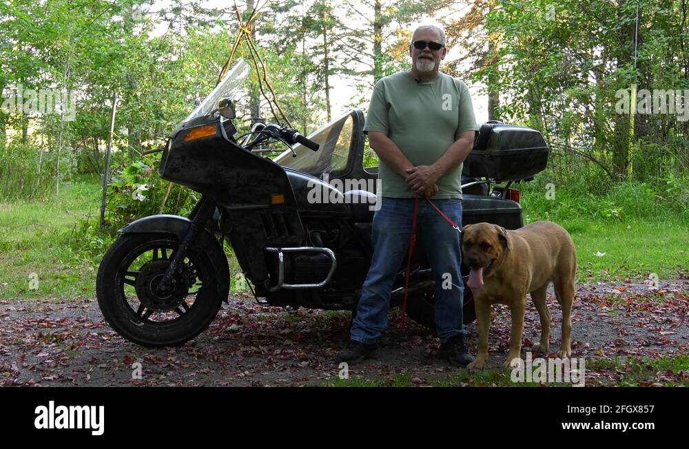 mastiff dog sidecar rider and motorcycle owner standing interview in ...