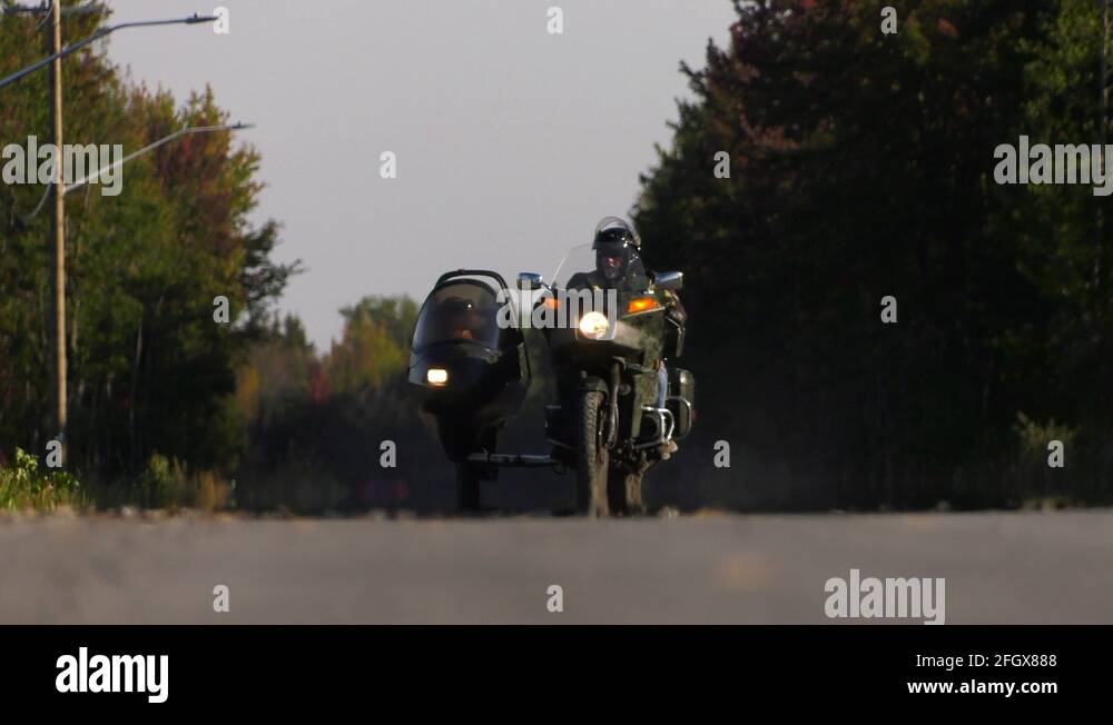 mastiff dog in motorcycle sidecar driving by shaded side of sun 4k ...