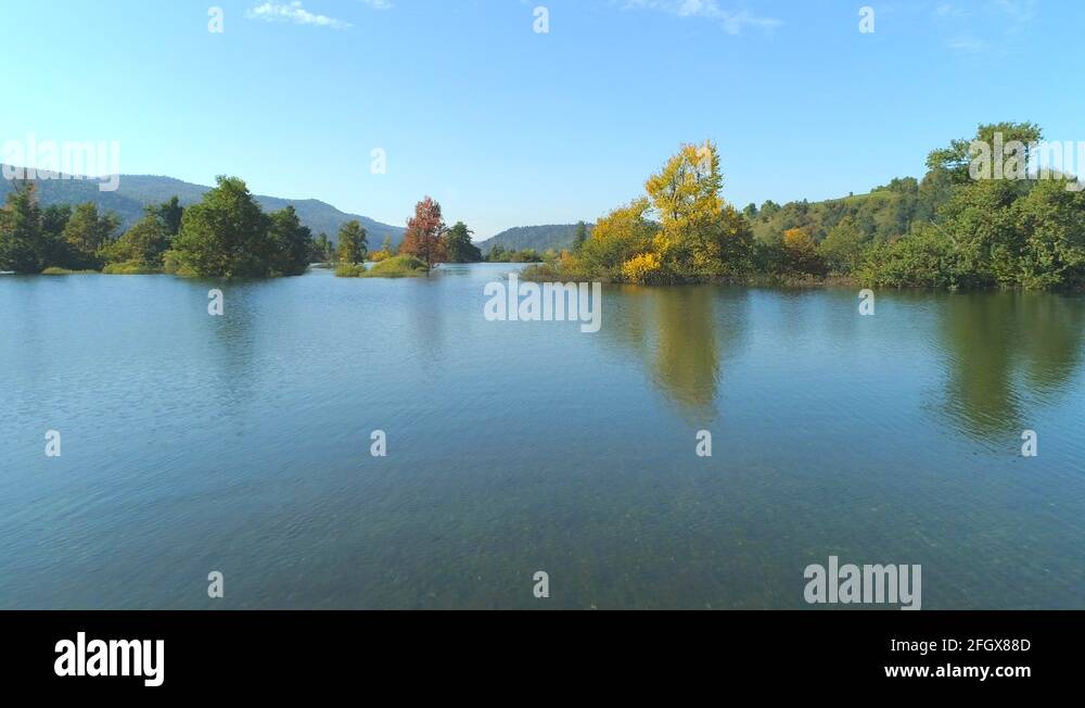 Peeking out of bushes Stock Videos & Footage - HD and 4K Video Clips ...