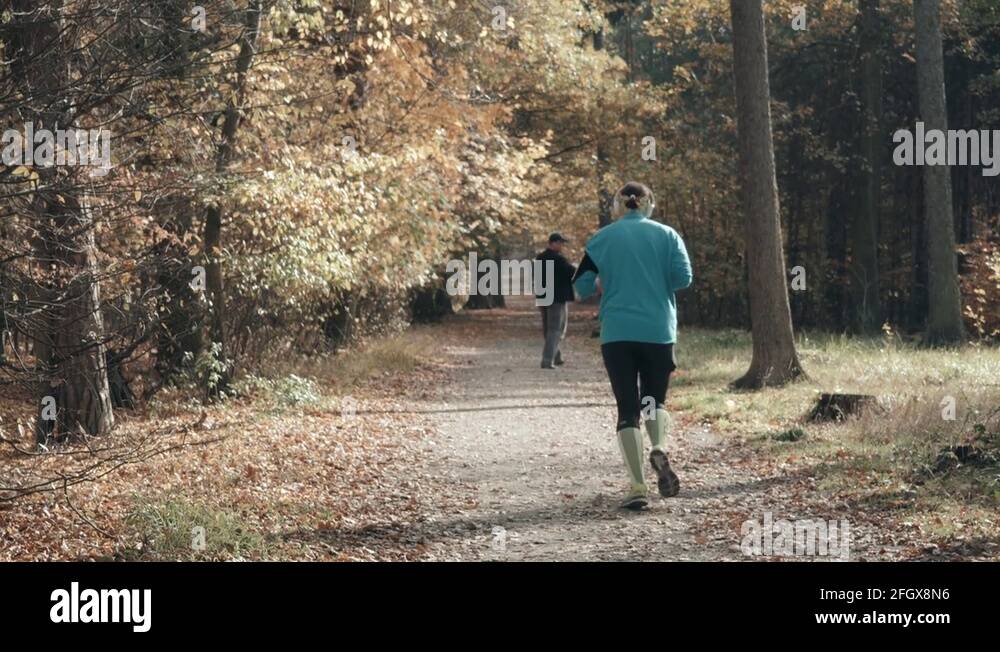 Labrador running rear view Stock Videos & Footage - HD and 4K Video ...