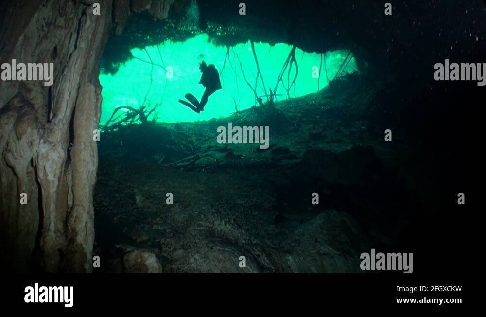 Roots of trees underwater in Yucatan cenotes caves Stock Video Footage ...