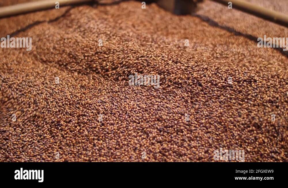process of mixing and roasting coffee beans production 4k Stock Video ...