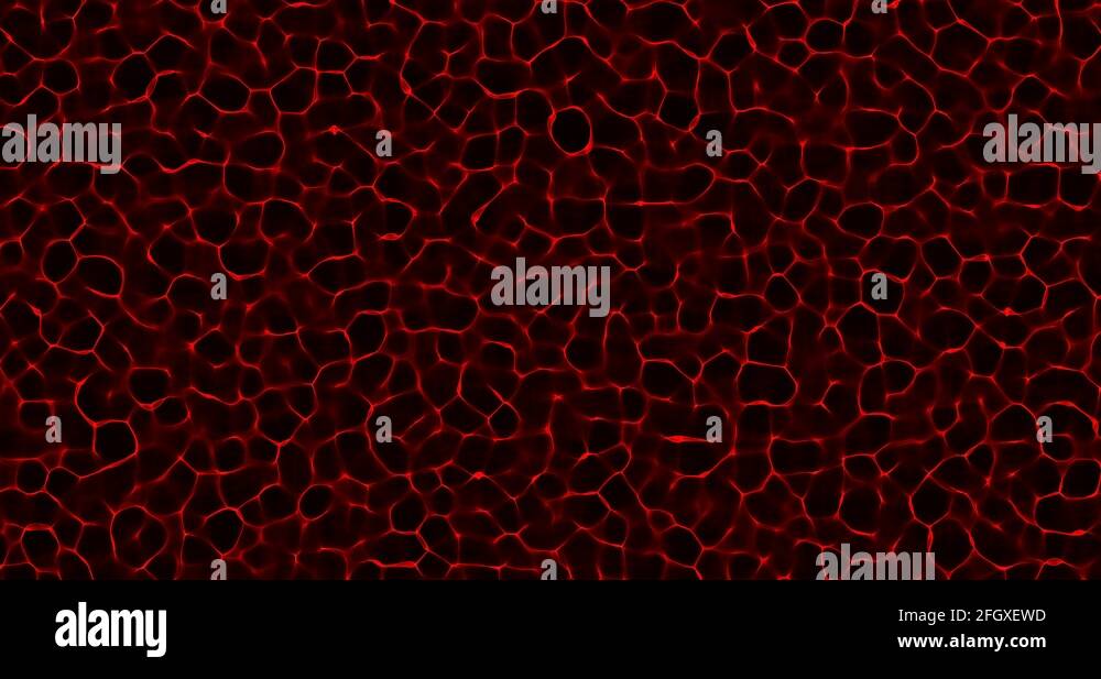 Hiv cells microscope Stock Videos & Footage - HD and 4K Video Clips - Alamy