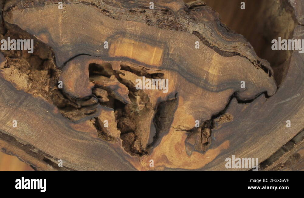 Unusual texture Stock Videos & Footage - HD and 4K Video Clips - Alamy