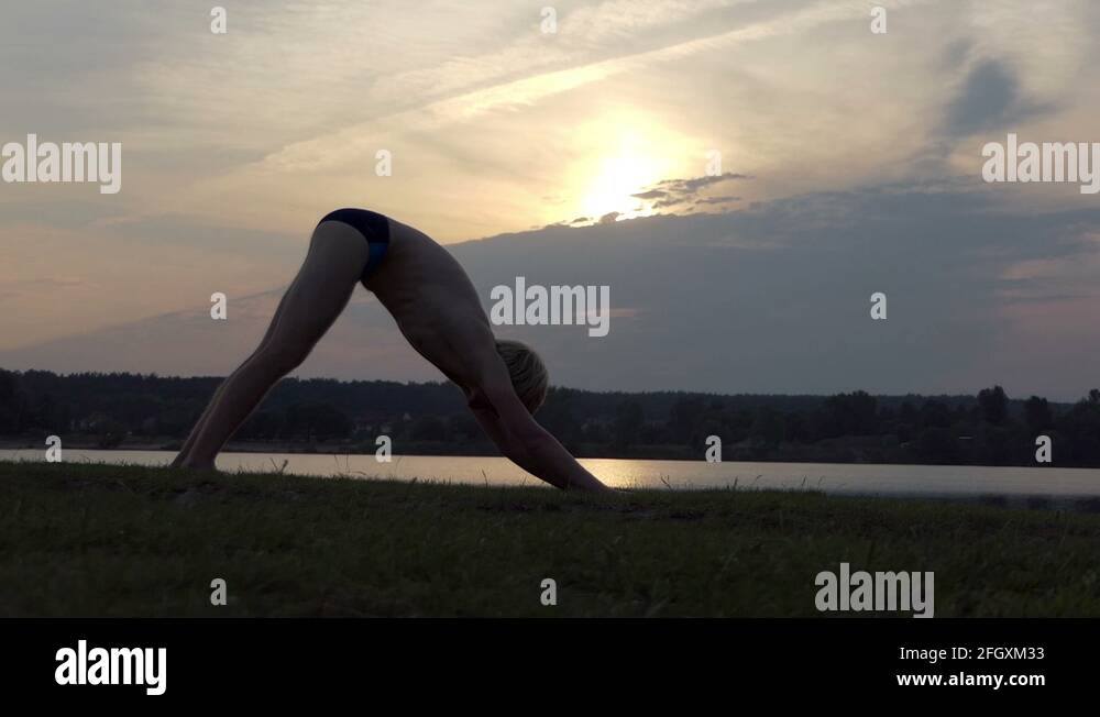 Dog face down Stock Videos & Footage - HD and 4K Video Clips - Alamy