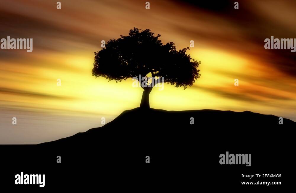 Sunset tree animation Stock Videos & Footage - HD and 4K Video Clips ...