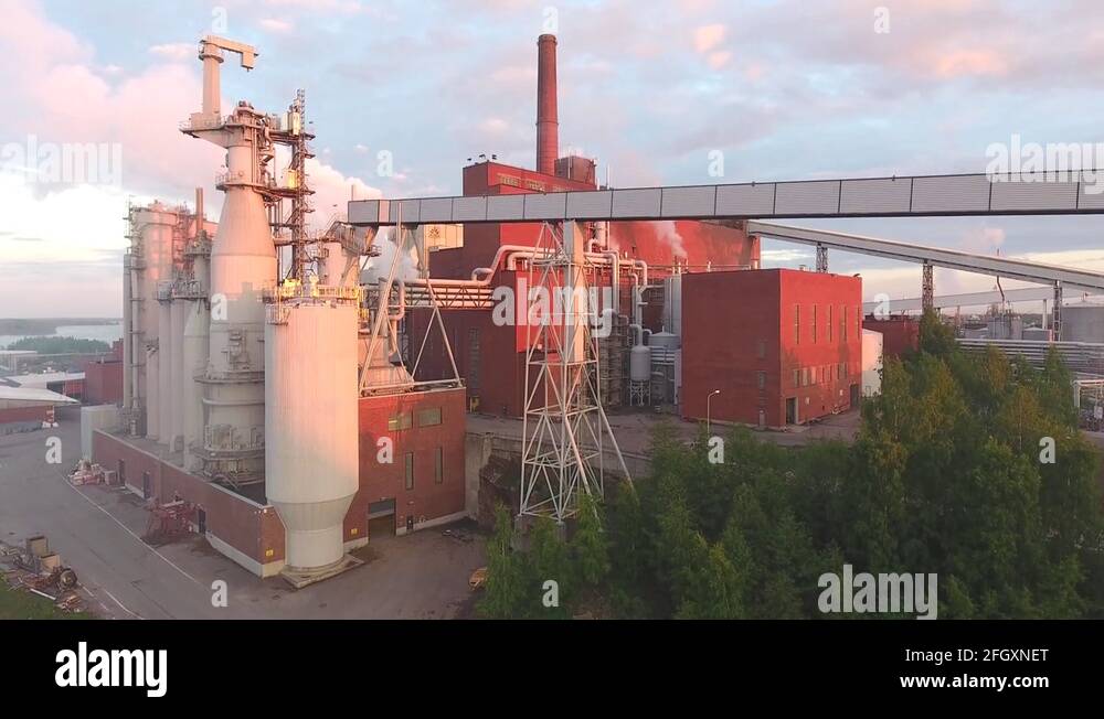 Cellulose Stock Videos & Footage - HD and 4K Video Clips - Alamy