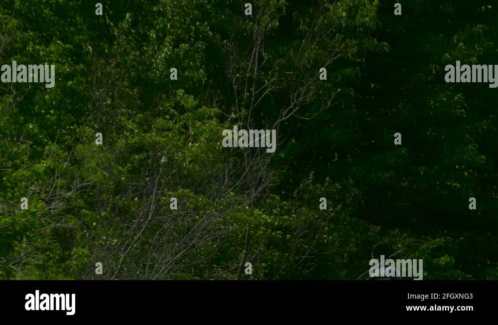 motocross closeup jumping rider slow motion 4k Stock Video Footage - Alamy