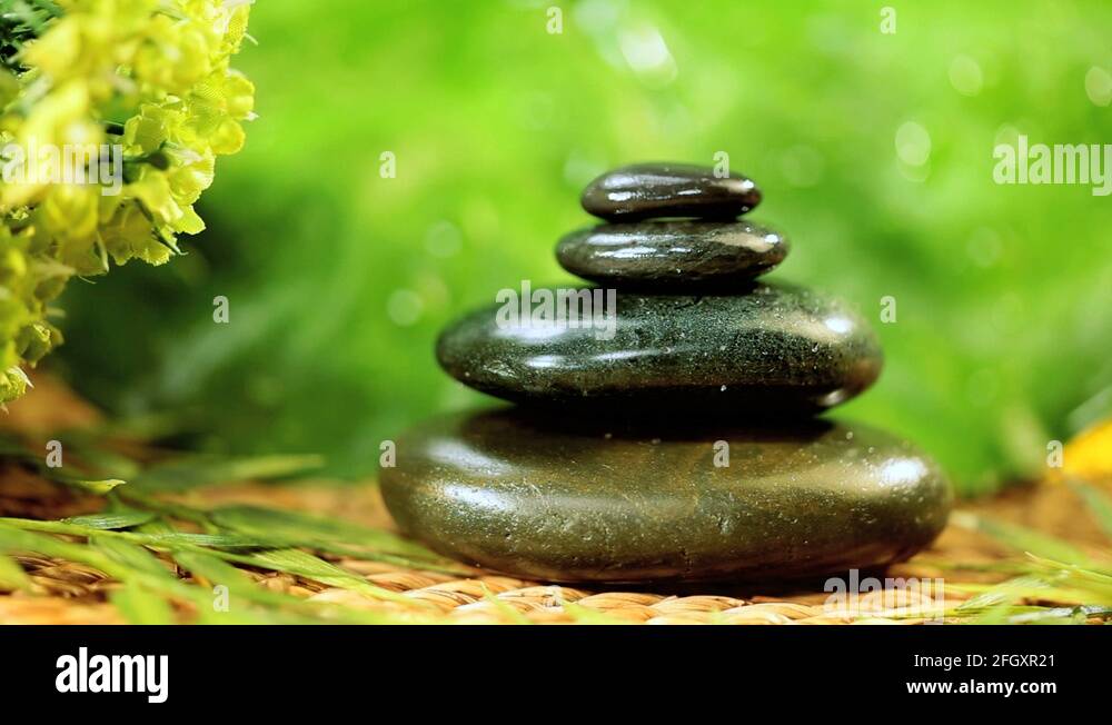 Alternative images Stock Videos & Footage - HD and 4K Video Clips - Alamy