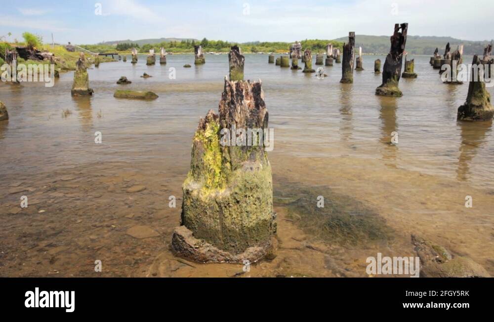 Piling dolly Stock Videos & Footage - HD and 4K Video Clips - Alamy