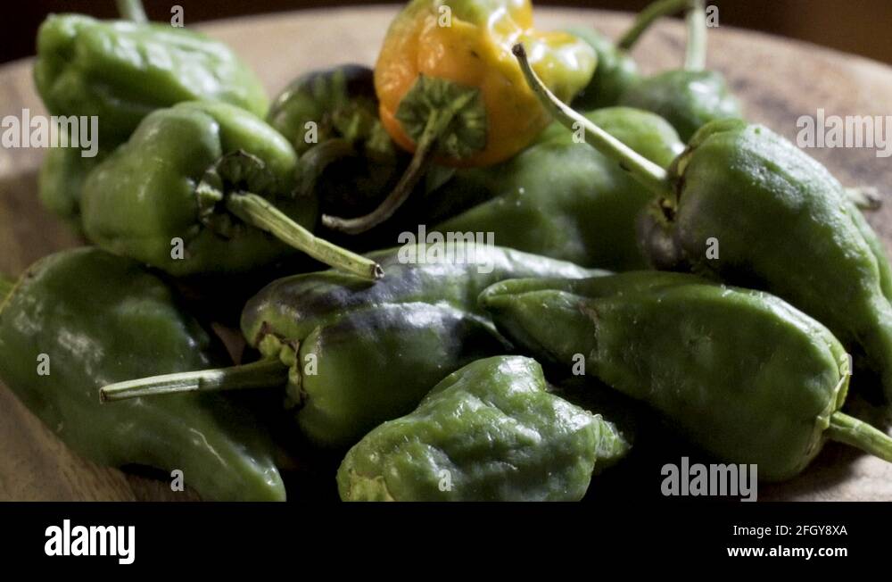 Spanish pepper field Stock Videos & Footage - HD and 4K Video Clips - Alamy