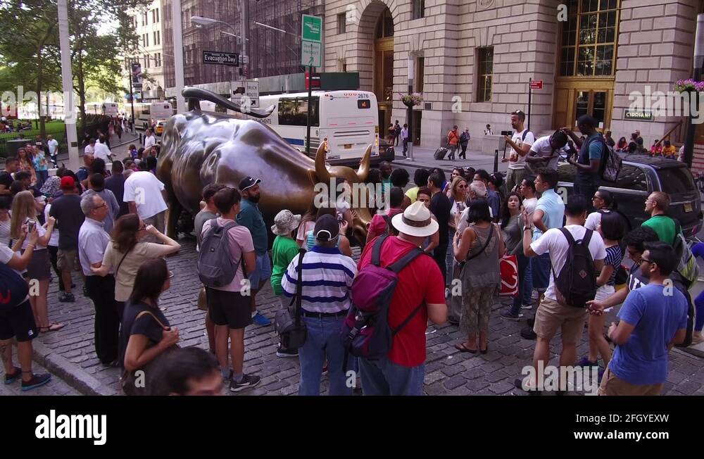 The raging bull Stock Videos & Footage - HD and 4K Video Clips - Alamy