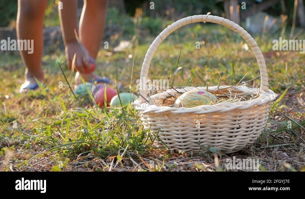 Close up children take basket Stock Videos & Footage - HD and 4K Video ...