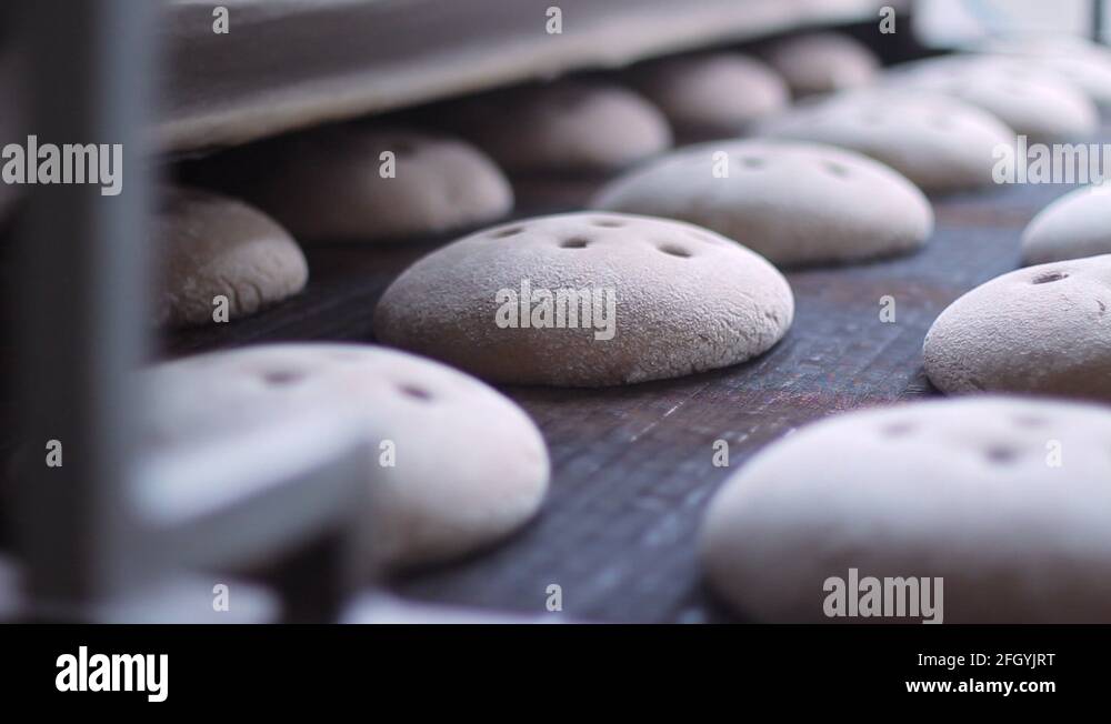 Manufacturing conveyor belt bread Stock Videos & Footage - HD and 4K ...
