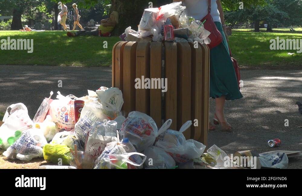 Car food litter Stock Videos & Footage - HD and 4K Video Clips - Alamy