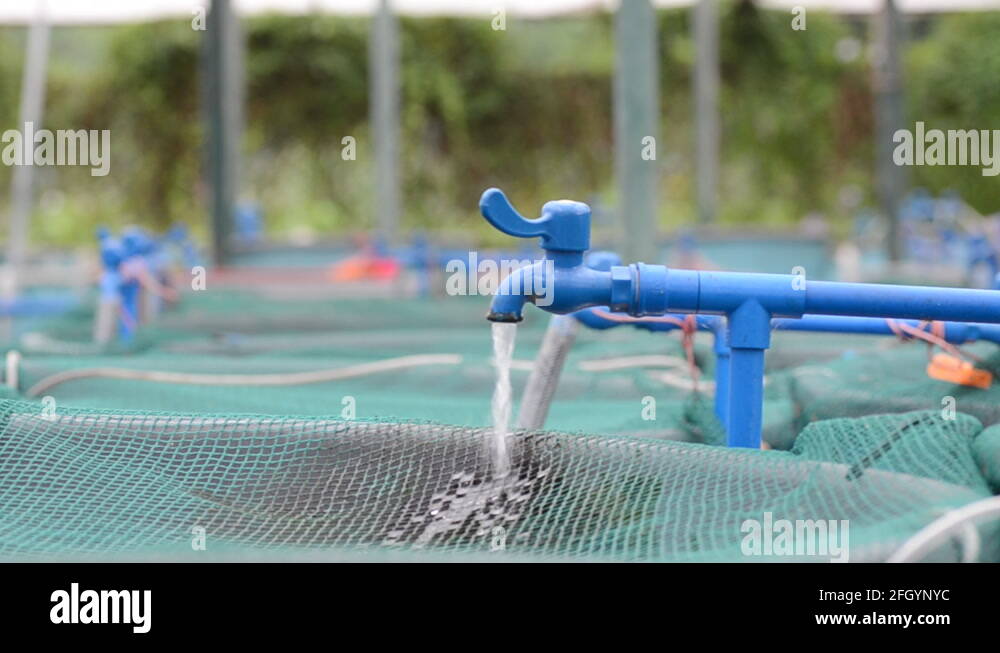 Farm water system Stock Videos & Footage - HD and 4K Video Clips - Alamy