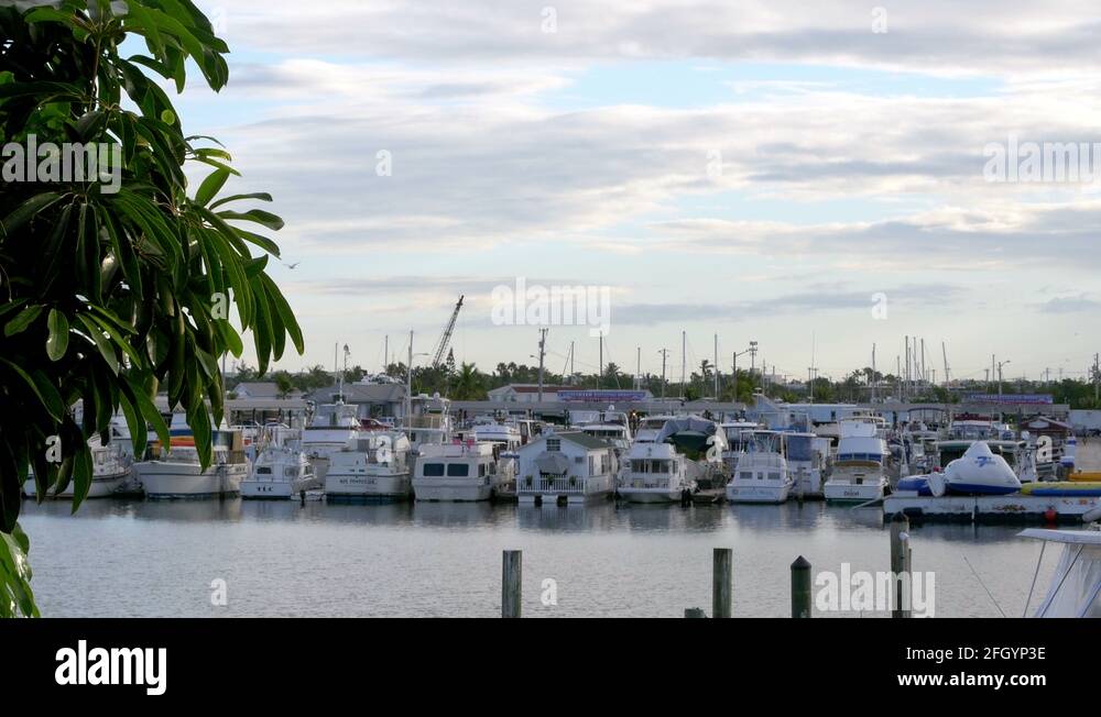 Bight Stock Videos & Footage - HD and 4K Video Clips - Alamy