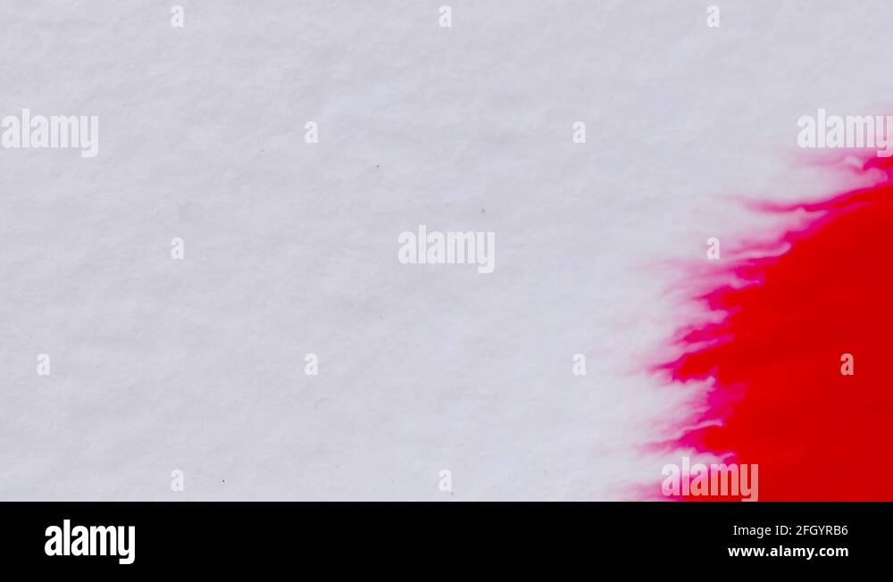 Splattering red color of blood on parchment paper on white macro ...