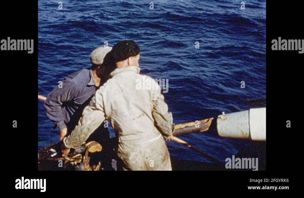 1950s: DURBAN, SOUTH AFRICA: men prepare harpoon and grapple. Man ...