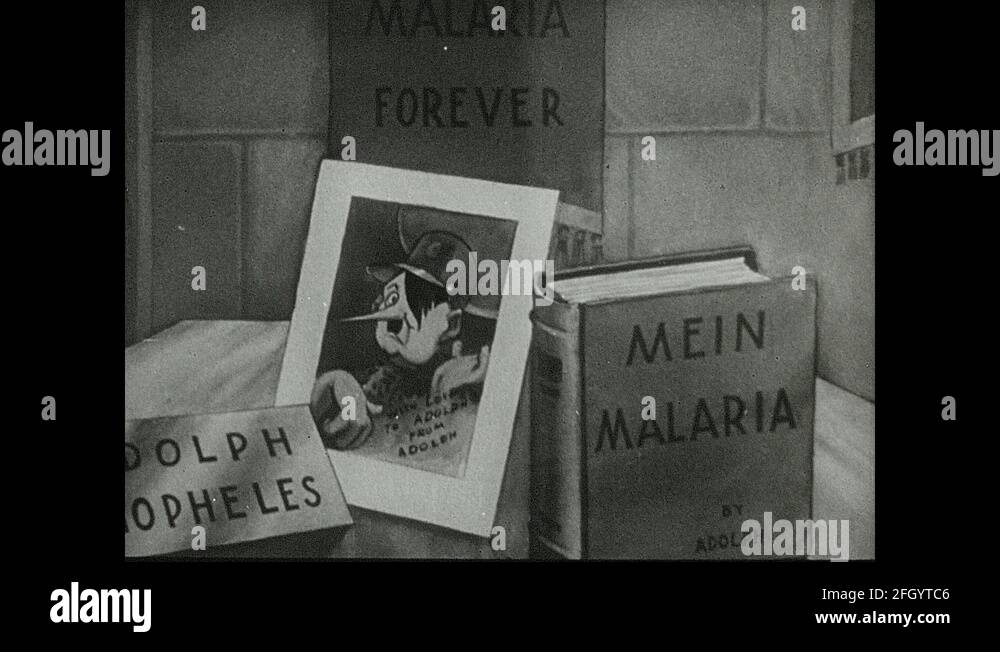 Hitlers portrait Stock Videos & Footage - HD and 4K Video Clips - Alamy