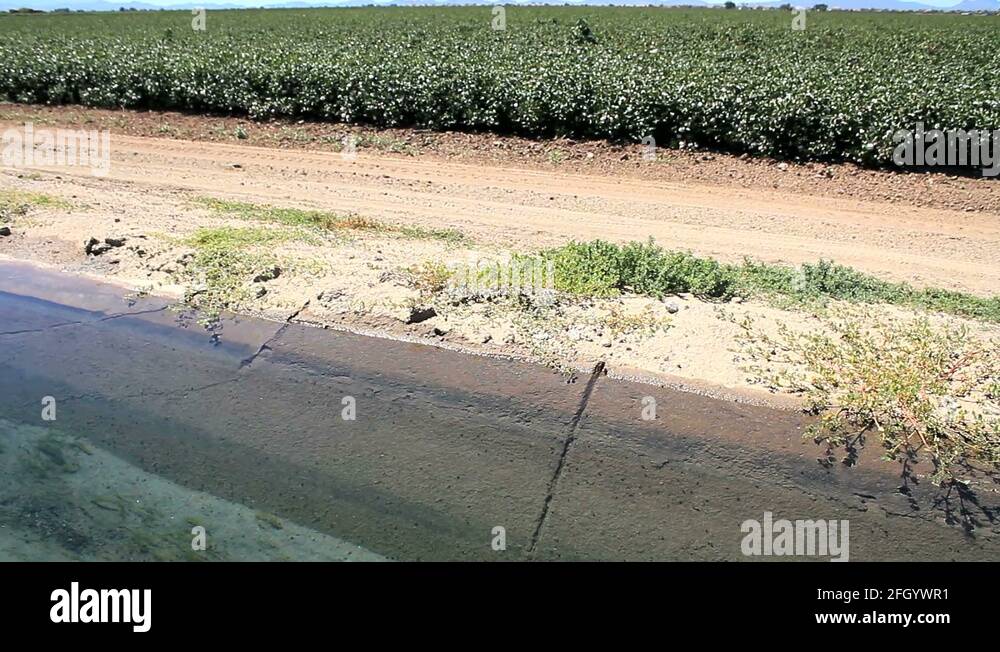 Cotton irrigation Stock Videos & Footage - HD and 4K Video Clips - Alamy
